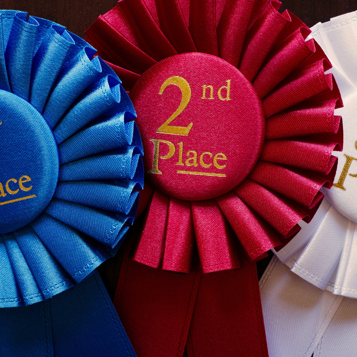 Welcome to the New Prudhoe Rosettes Website